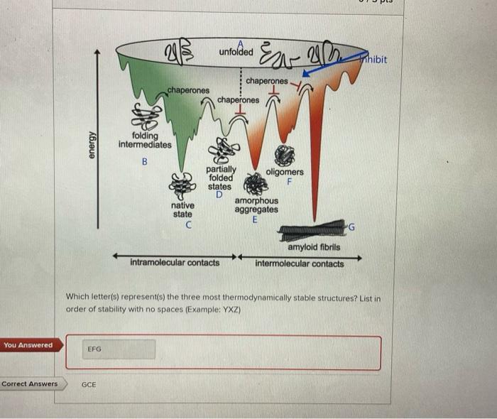 Draw the helical portion of the mini-protein above as | Chegg.com