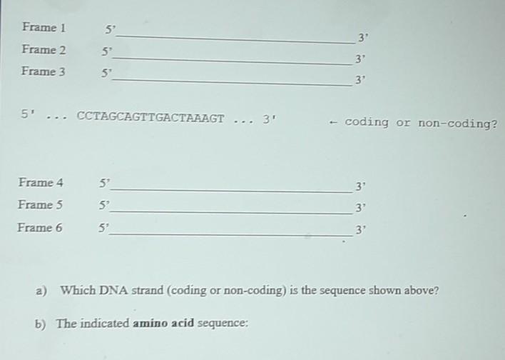 Solved I 5. Opens reading frames A protein coding gene | Chegg.com
