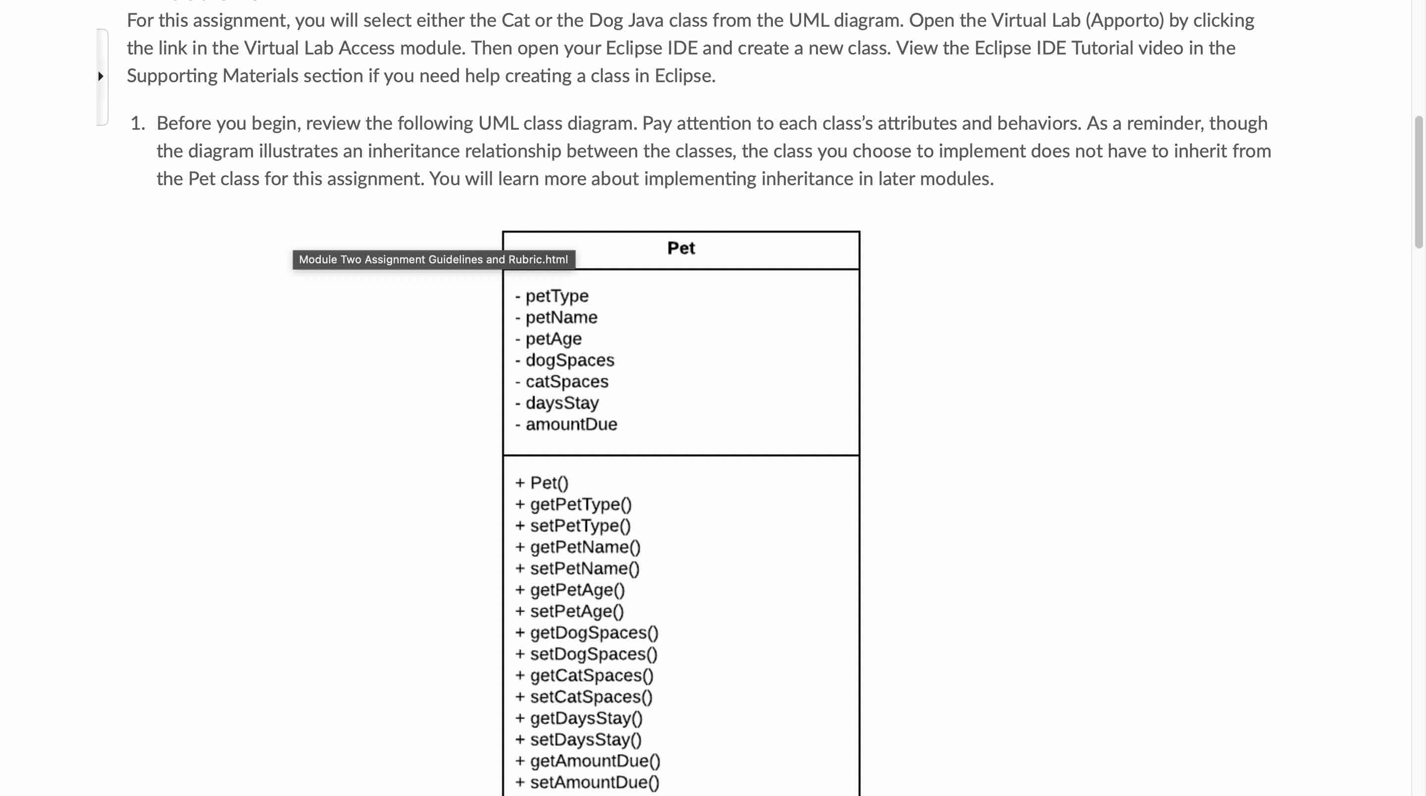 Solved For this assignment, you will select either the Cat | Chegg.com