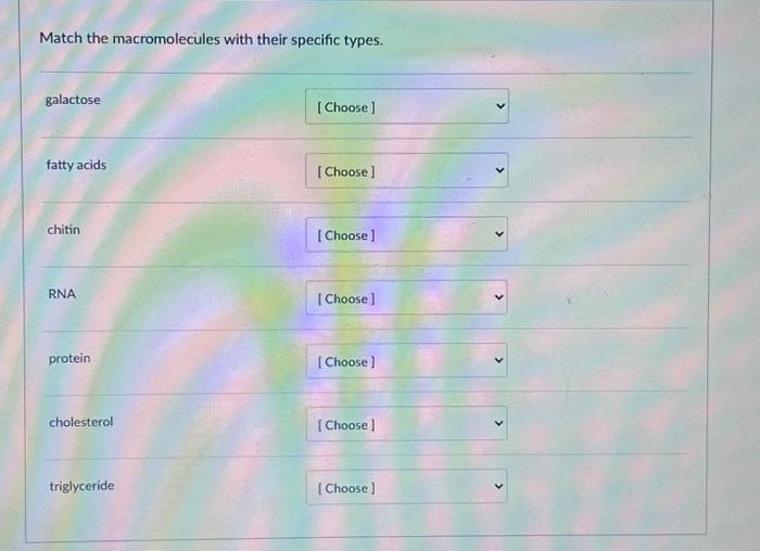 Solved Match the macromolecules with their specific types. | Chegg.com