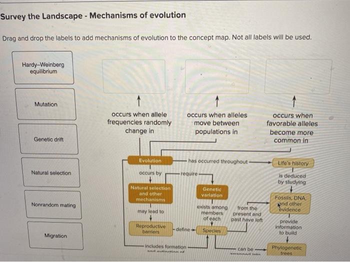 Solved Survey the Landscape - Mechanisms of evolution Drag | Chegg.com
