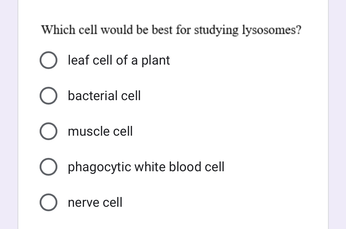 Solved Which cell would be best for studying lysosomes?leaf | Chegg.com