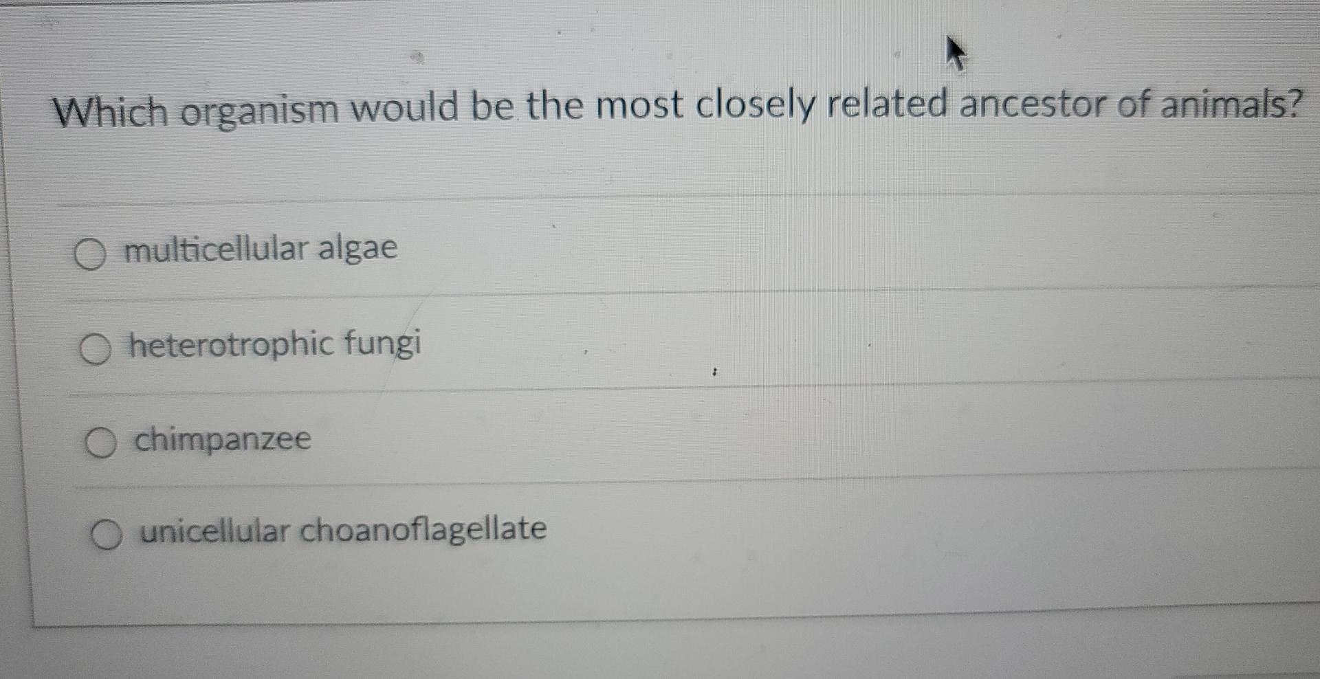 Solved Which organism would be the most closely related | Chegg.com