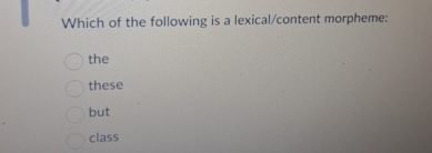 Solved Which of the following is a lexical/content | Chegg.com