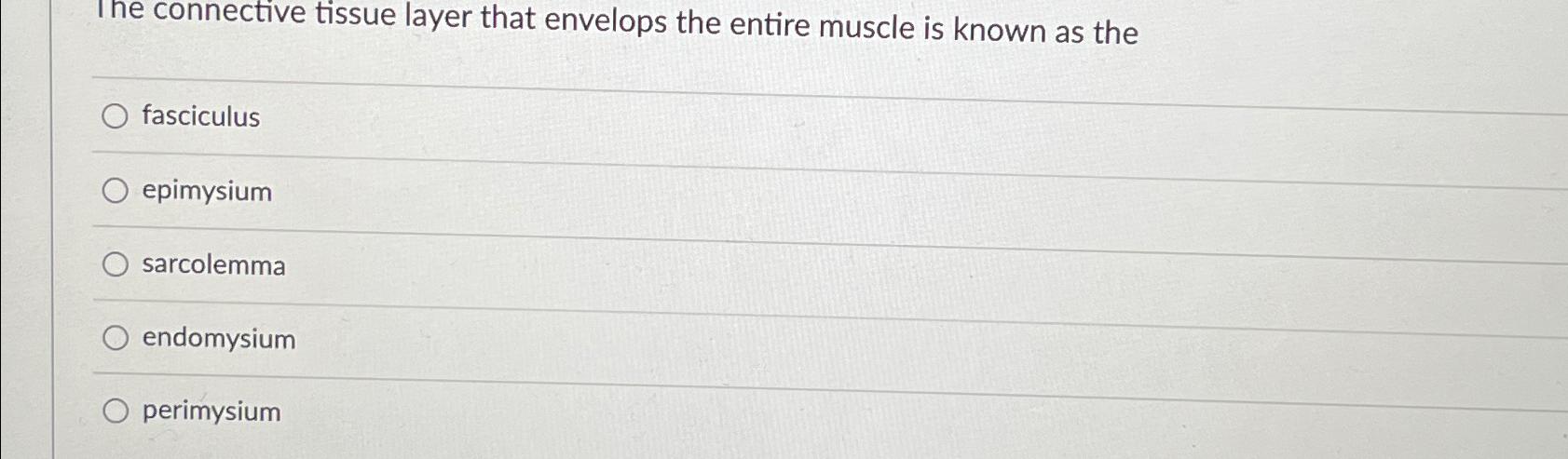 Solved The connective tissue layer that envelops the entire | Chegg.com