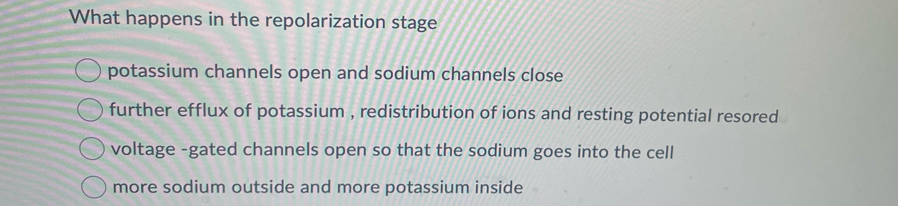 Solved What happens in the repolarization stagepotassium | Chegg.com