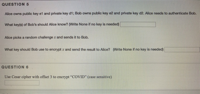 Solved QUESTION 5 Alice owns public key e1 and private key | Chegg.com