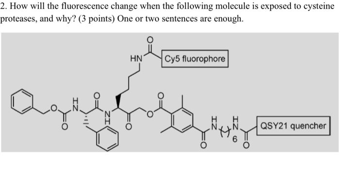 Solved 2. How will the fluorescence change when the | Chegg.com