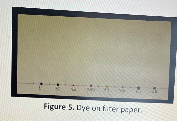 1. Enter the results from chromatography filter paper | Chegg.com