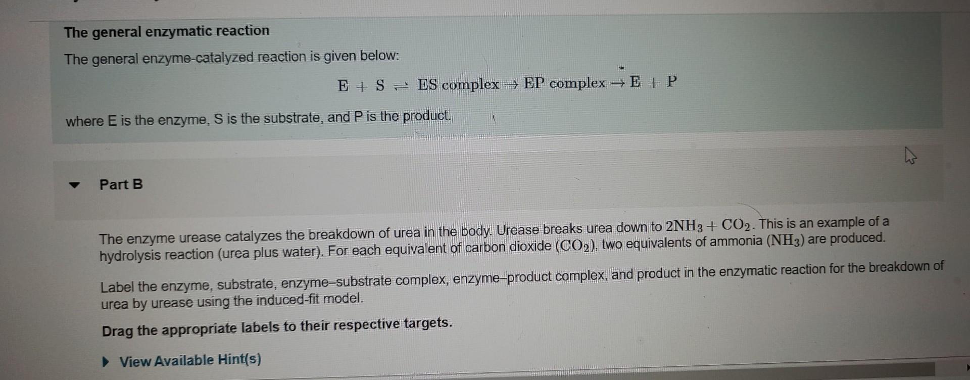 Solved The general enzymatic reaction The general | Chegg.com