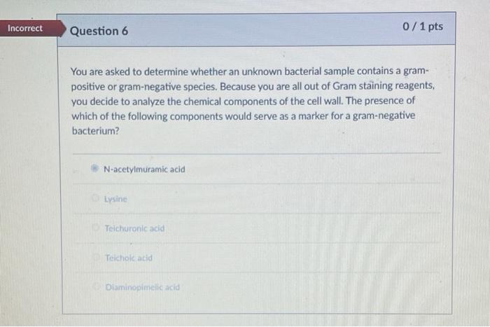 Solved Incorrect Question 6 0/1 pts You are asked to | Chegg.com