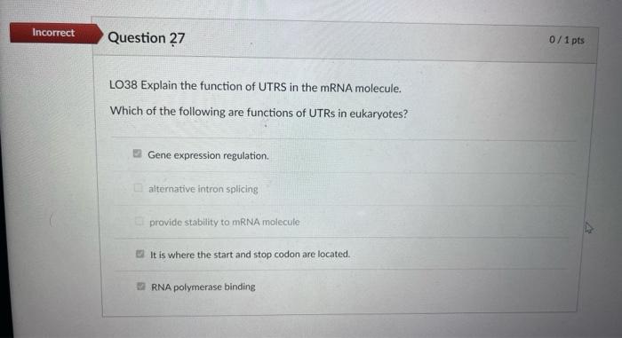 Solved LO38 Explain the function of UTRS in the mRNA | Chegg.com
