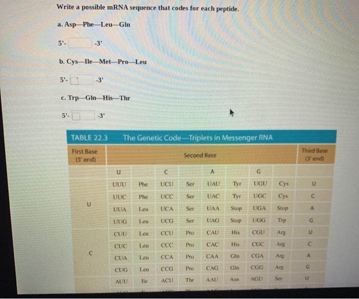 Solved Write a possible mRNA sequence that codes for each | Chegg.com