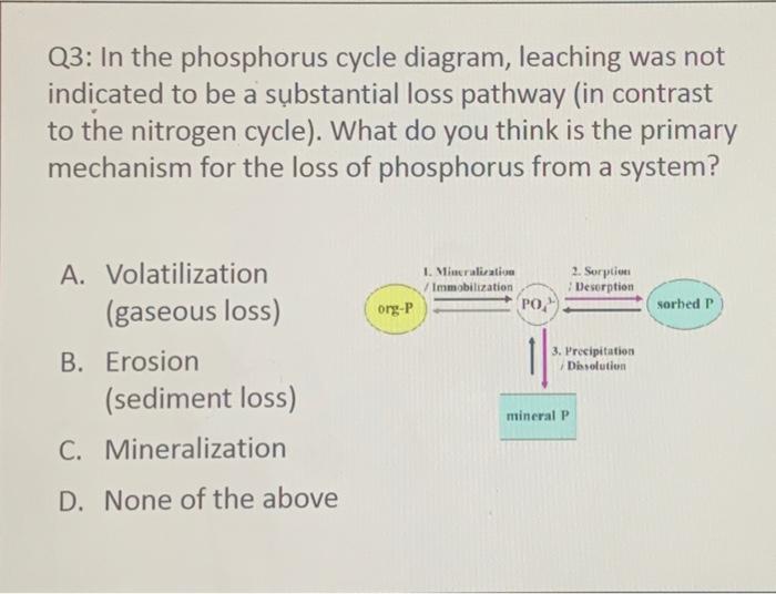 Solved Q3: In the phosphorus cycle diagram, leaching was not | Chegg.com