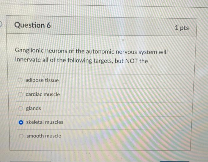 Solved Ganglionic neurons of the autonomic nervous system | Chegg.com
