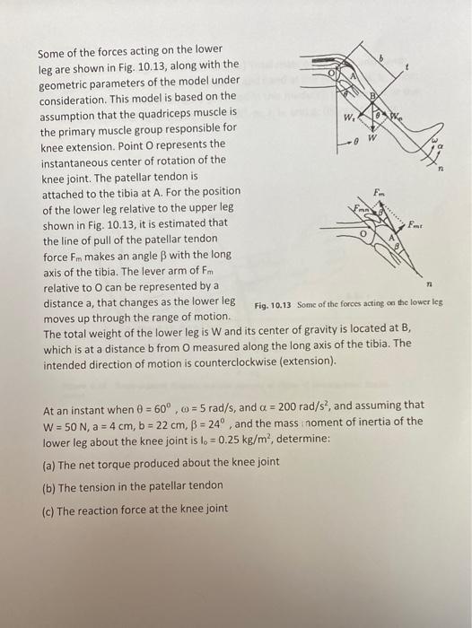 Solved ASSESSSMENT DYNAMICS OF A SINGLE SEGMENT PROBLEM 1 | Chegg.com