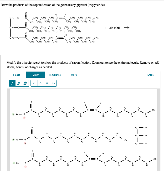 Solved What am i doing wrong? Draw the products of the | Chegg.com
