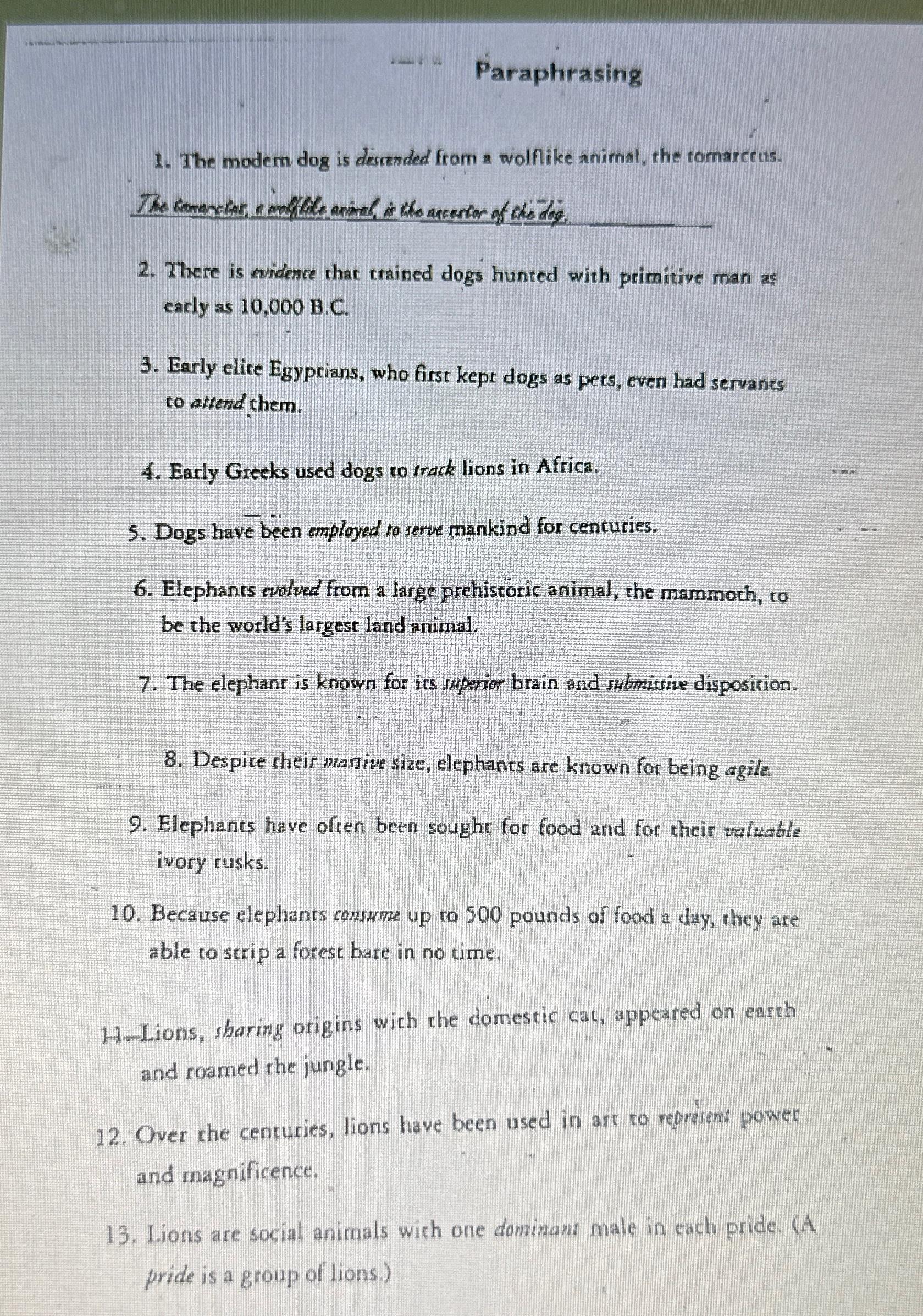 Solved ParaphrasingThe modem dog is desiended from a | Chegg.com