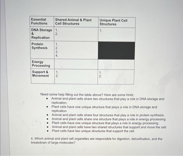 Solved 3. In this lab, you've identified the shared and | Chegg.com
