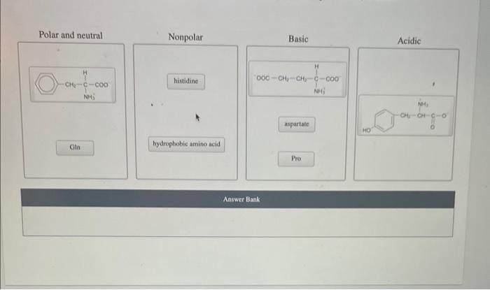 Solved Polar and neutral Nonpolar Basic Acidic histidine | Chegg.com