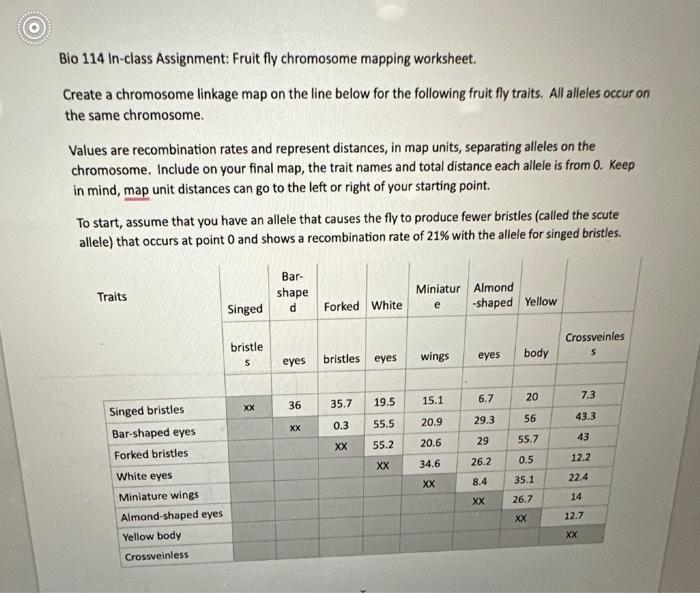 Solved Bio 114 In-class Assignment: Fruit fly chromosome | Chegg.com