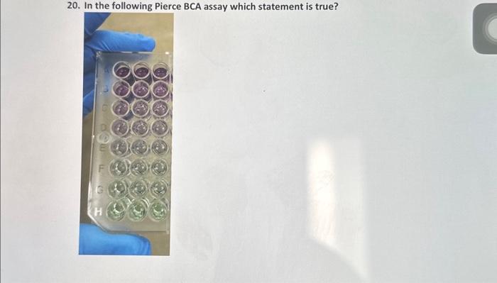 20. In the following Pierce BCA assay which statement | Chegg.com