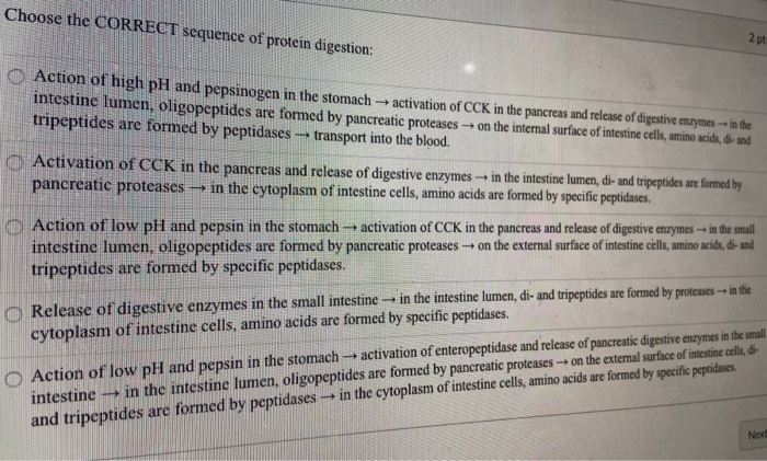 Solved Choose the CORRECT sequence of protein digestion: 2pt | Chegg.com
