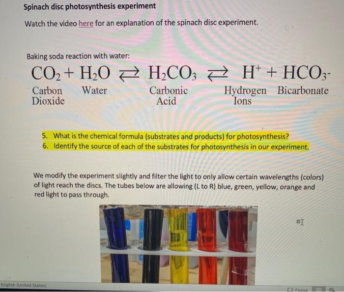 Solved Spinach disc photosynthesis experiment Watch the | Chegg.com