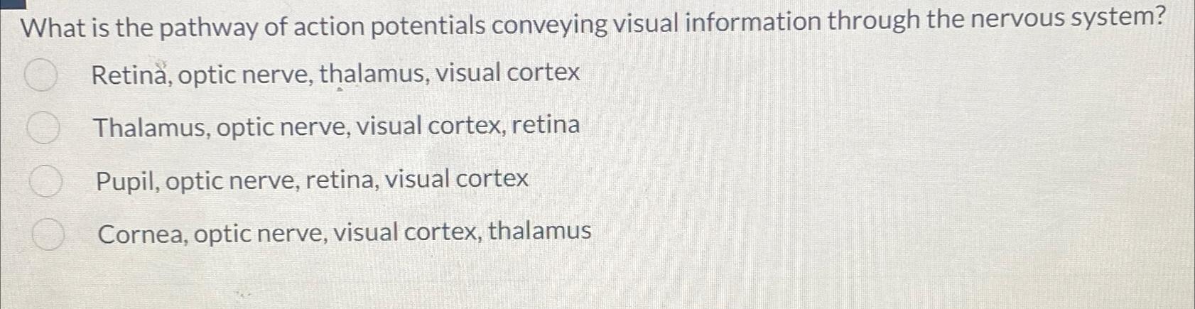 Solved What is the pathway of action potentials conveying | Chegg.com