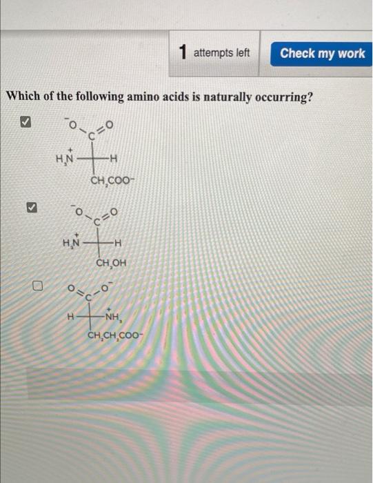 Solved 1 attempts left Check my work Which of the following | Chegg.com