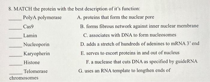Solved 8. MATCH the protein with the best description of | Chegg.com