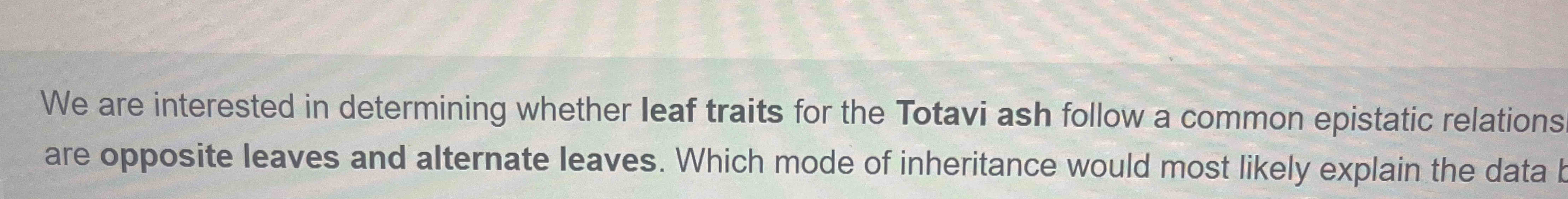 Solved We are interested in determining whether leaf traits | Chegg.com