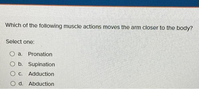 Solved Which of the following muscle actions moves the arm | Chegg.com