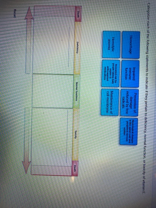 Solved Categorize each of the following statements to | Chegg.com