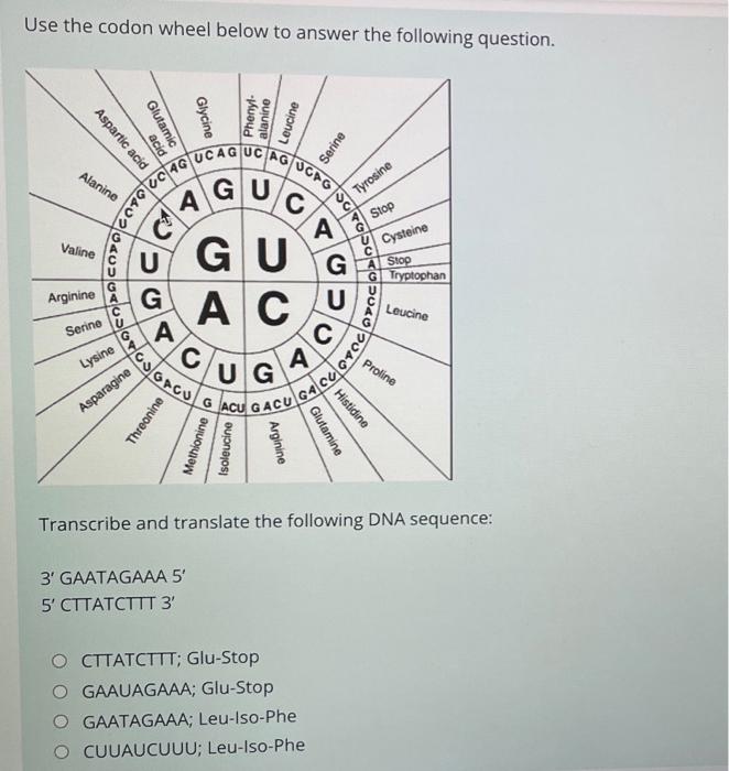 Solved Use the codon wheel below to answer the following | Chegg.com