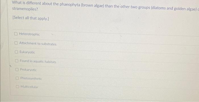 [Solved]: Which of the following would be considered ancest