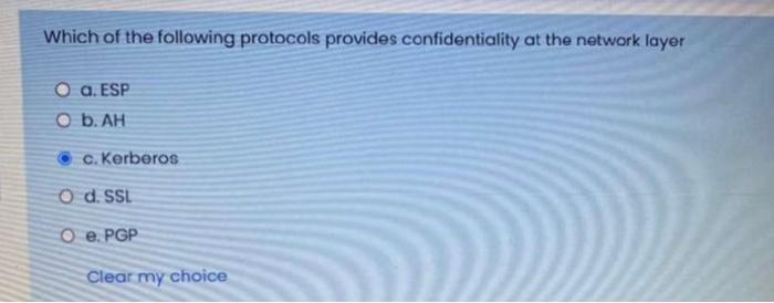 Solved Which of the following protocols provides | Chegg.com