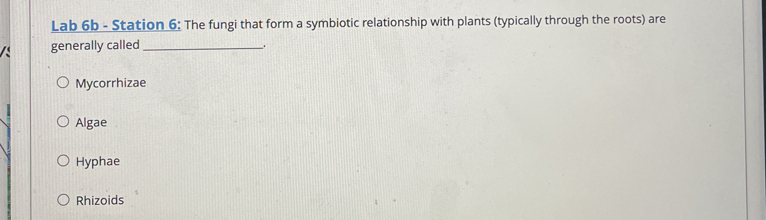 Solved Lab 6b - ﻿Station 6: The fungi that form a symbiotic | Chegg.com