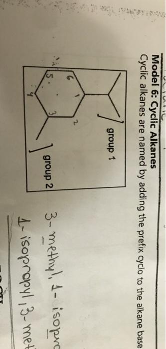 Solved Model 6: Cyclic Alkanes Cyclic alkanes are named by | Chegg.com