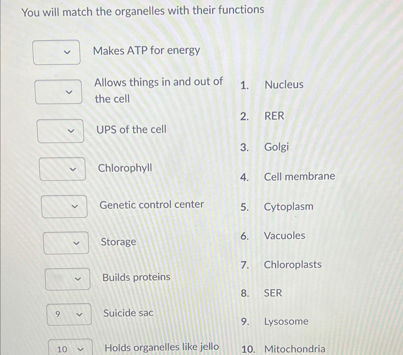 Solved You will match the organelles with their | Chegg.com