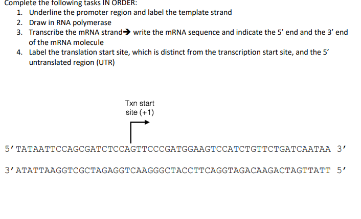 Solved Complete the following tasks IN ORDER:Underline the | Chegg.com