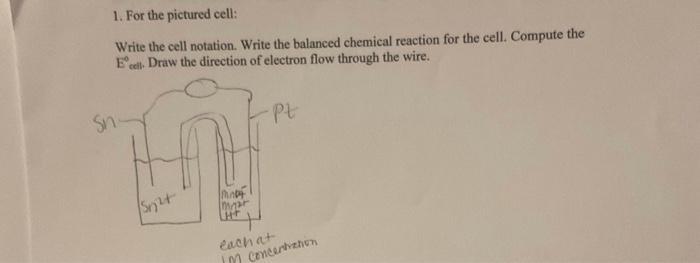 Solved 1. For the pictured cell: Write the cell notation. | Chegg.com
