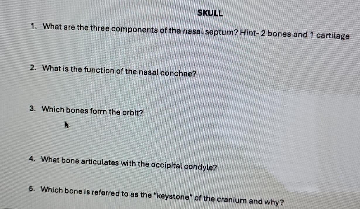 Solved SKULL.What are the three components of the nasal | Chegg.com