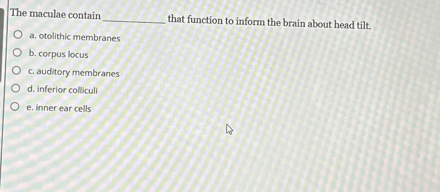 Solved The maculae contain that function to inform the brain | Chegg.com
