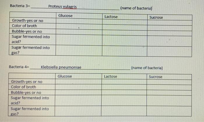 Solved Fermentation/Phenol Red test result for Proteus | Chegg.com