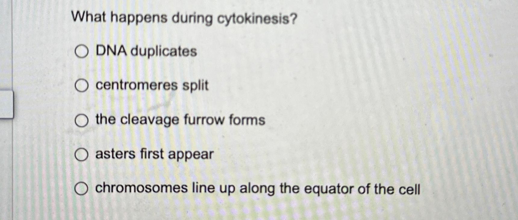 Solved What happens during cytokinesis?DNA | Chegg.com