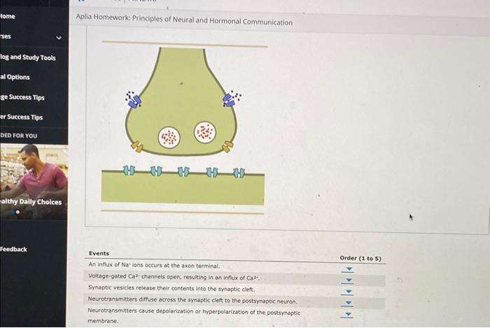 Solved Aplia Homework: Principles of Neural and Hormonal | Chegg.com