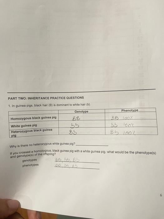 Solved PART TWO: INHERITANCE PRACTICE QUESTIONS 1. In guinea | Chegg.com