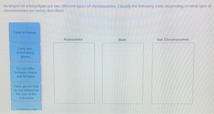 Solved Arranged on a karyotype are two different types of | Chegg.com