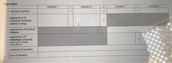 Magnesium reactant 1 reactant 2 product 1 + product 2 | Chegg.com